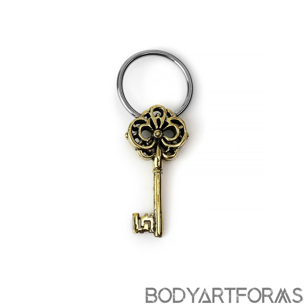 Exploring Different Types Of Captive Rings