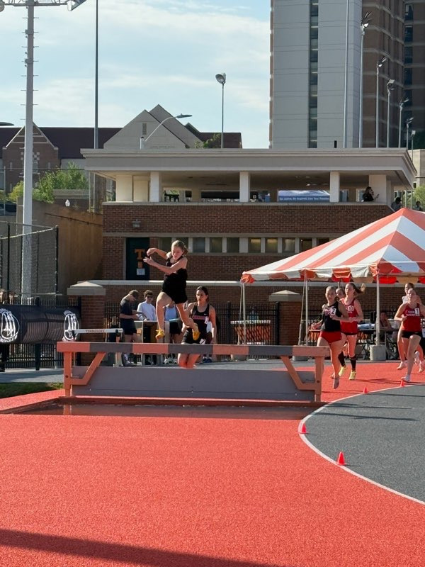 Carter Hornets Athletics