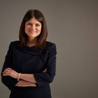 Michigan's 11th Congressional District - Ballotpedia