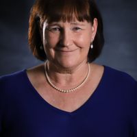 Beth Llewellyn McLaughlin - Ballotpedia