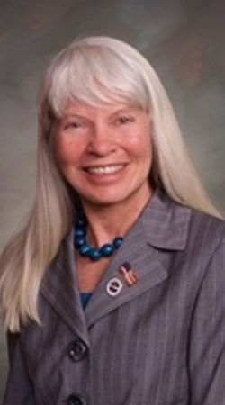 Diane Mitsch Bush - Ballotpedia