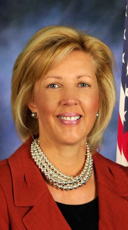 Sue Rezin - Ballotpedia