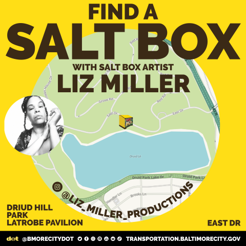 Salt Boxes | Baltimore City
