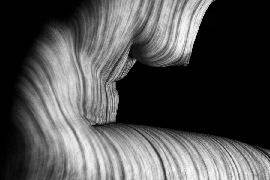 Silhouette 5 by Eric W. Hiss | Black & White Magazine | For Collectors ...