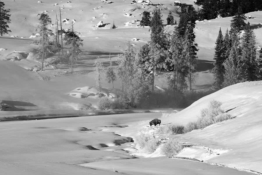 Lamar Valley by Tom Croce | Black & White Magazine | For Collectors of ...