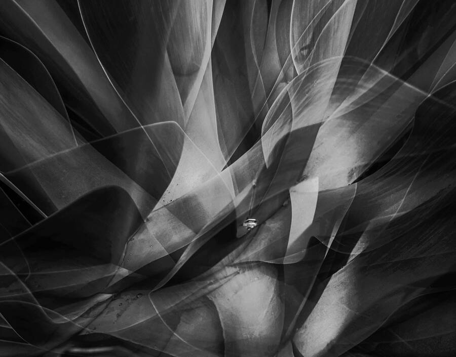 Fractured Eden by Robert Finkelhor | Black & White Magazine | For ...