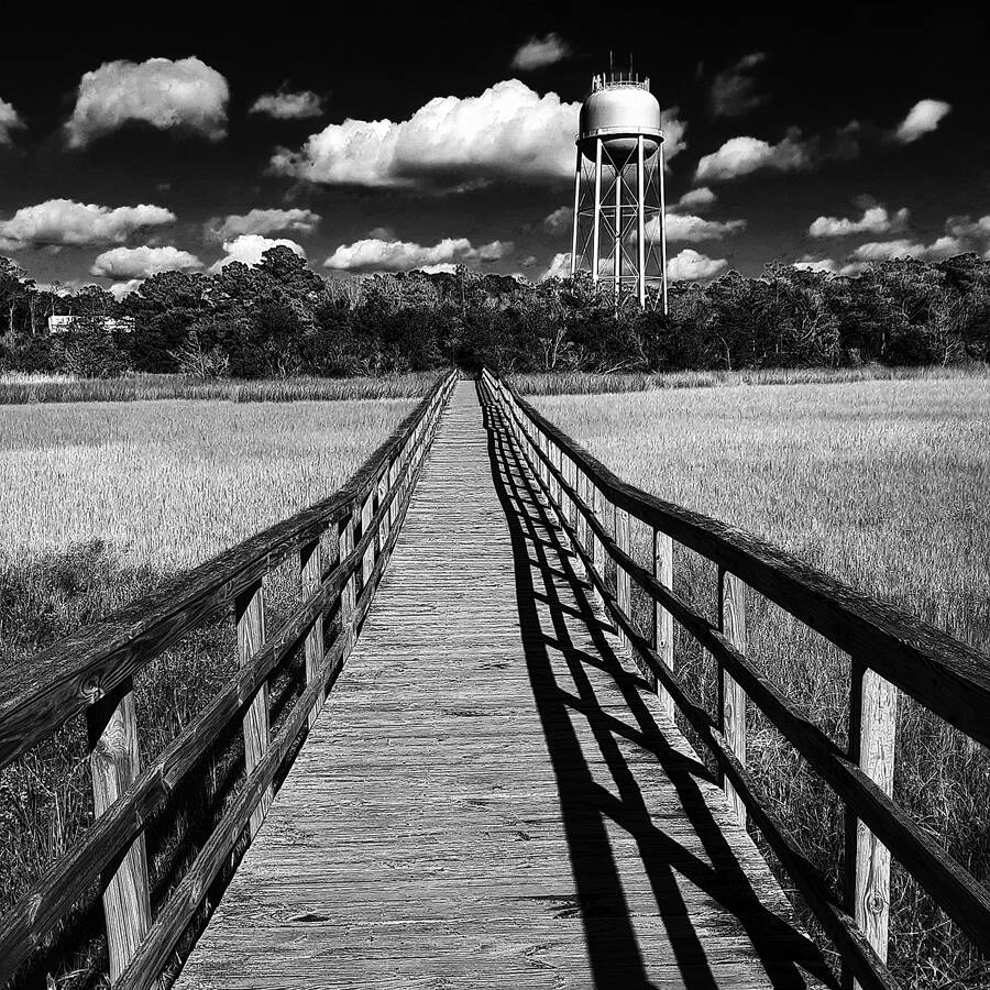 Boardwalk by Rosemary Williams | Black & White Magazine | For ...
