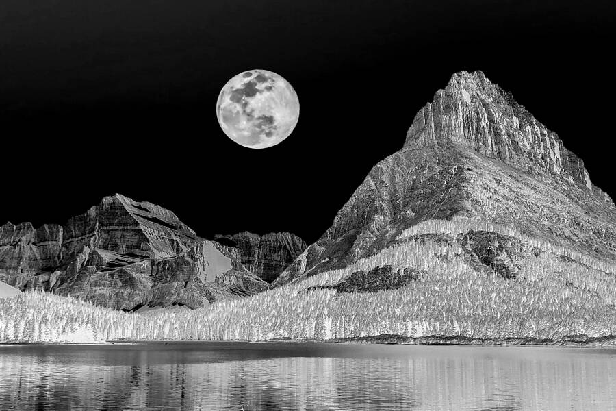 Moon Scape by Anne Dignam | Black & White Magazine | For Collectors of ...
