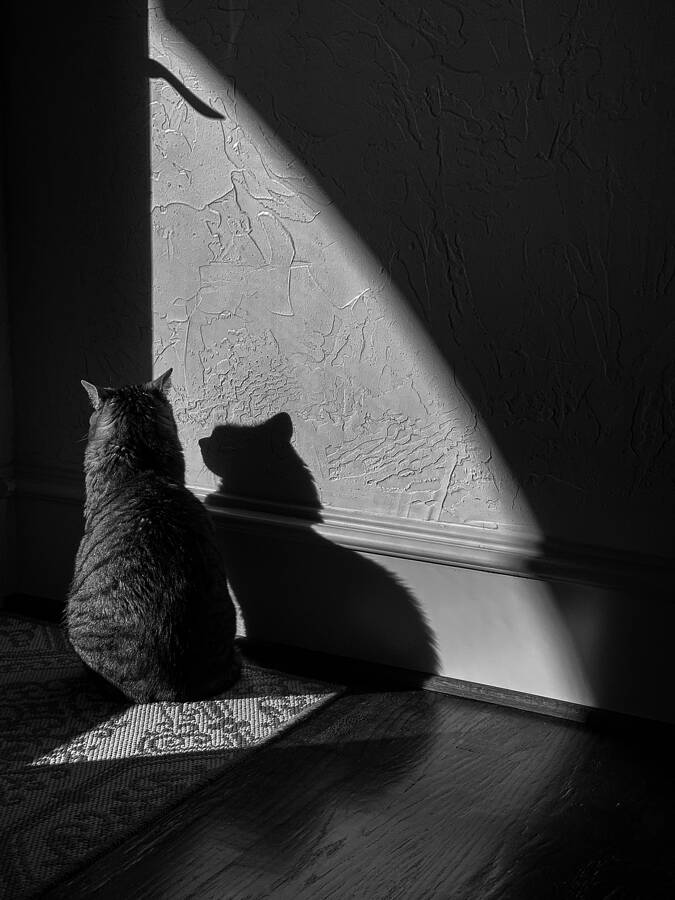 Jake in Winter Sun by Dennis Fritsche | Black & White Magazine | For ...