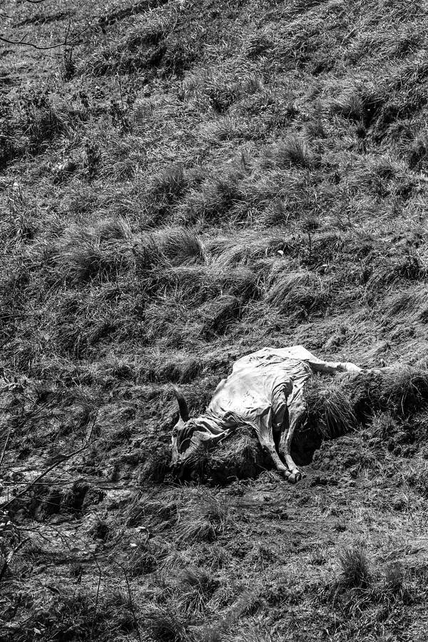 Stock Decomposition by Richard Collens | Black & White Magazine | For ...