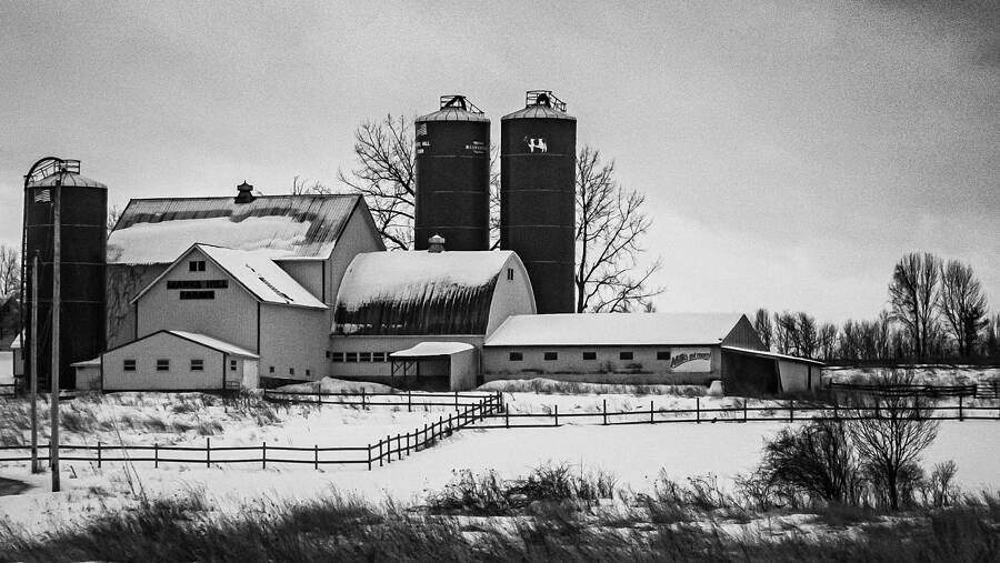 Farm by Joe Sack | Black & White Magazine | For Collectors of Fine ...