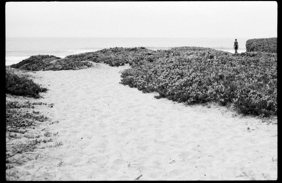 Cali Beach Boy by Matthew Windle | Black & White Magazine | For ...
