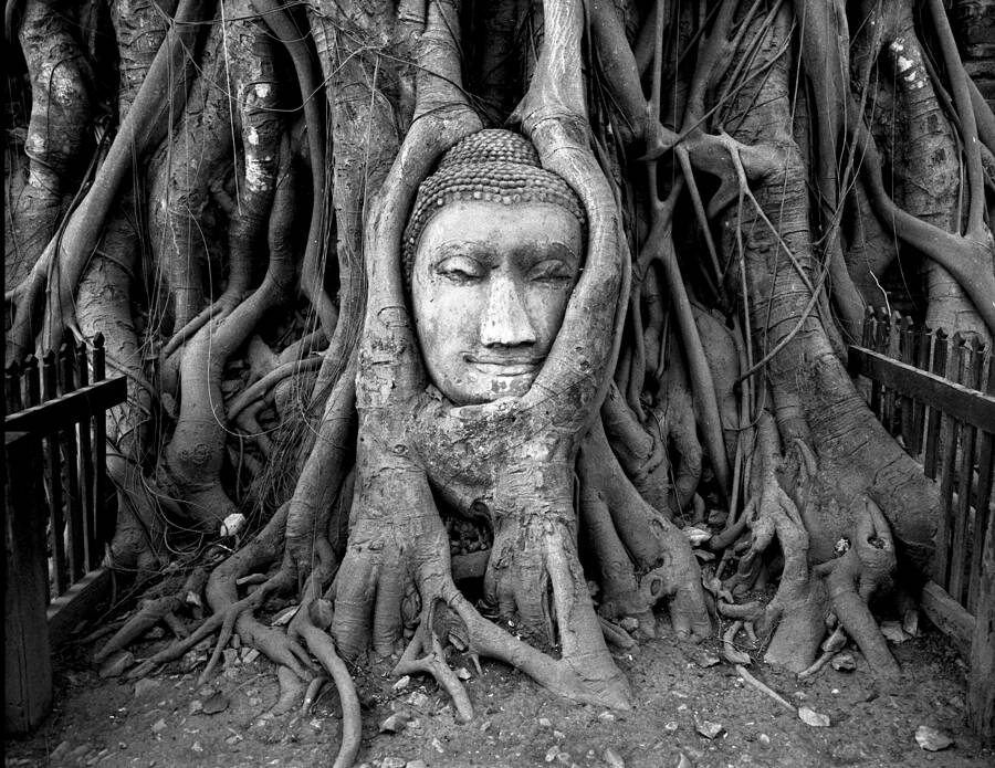 The Face of the Buddha by Dave Rudin | Black & White Magazine | For ...