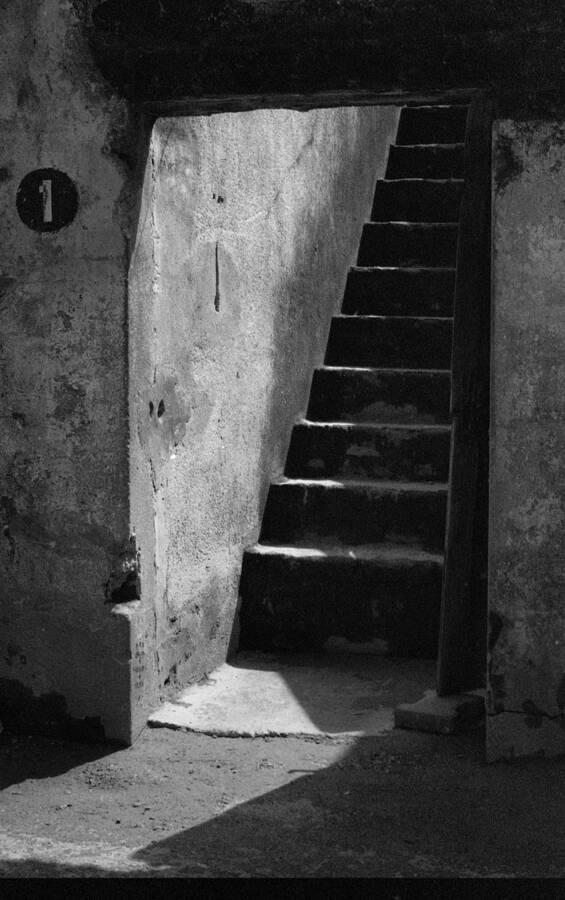 Staircase by Paul Cohn | Black & White Magazine | For Collectors of ...