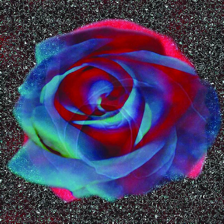 The Rose Nebula by Mitchell Ozog | Black & White Magazine | For ...