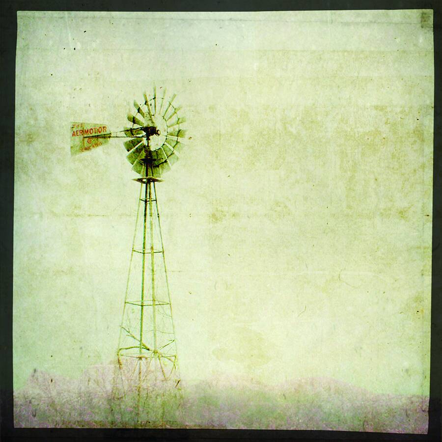 In the Forest by Jamie Heiden | Black & White Magazine | For Collectors ...