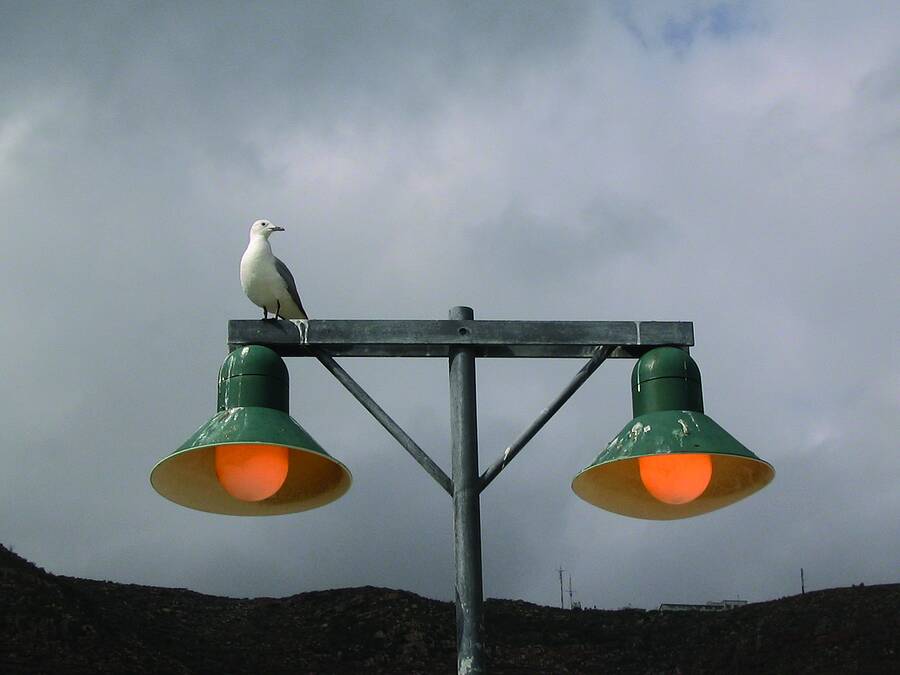 A More Fragile Light by Gert Basson | Black & White Magazine | For ...