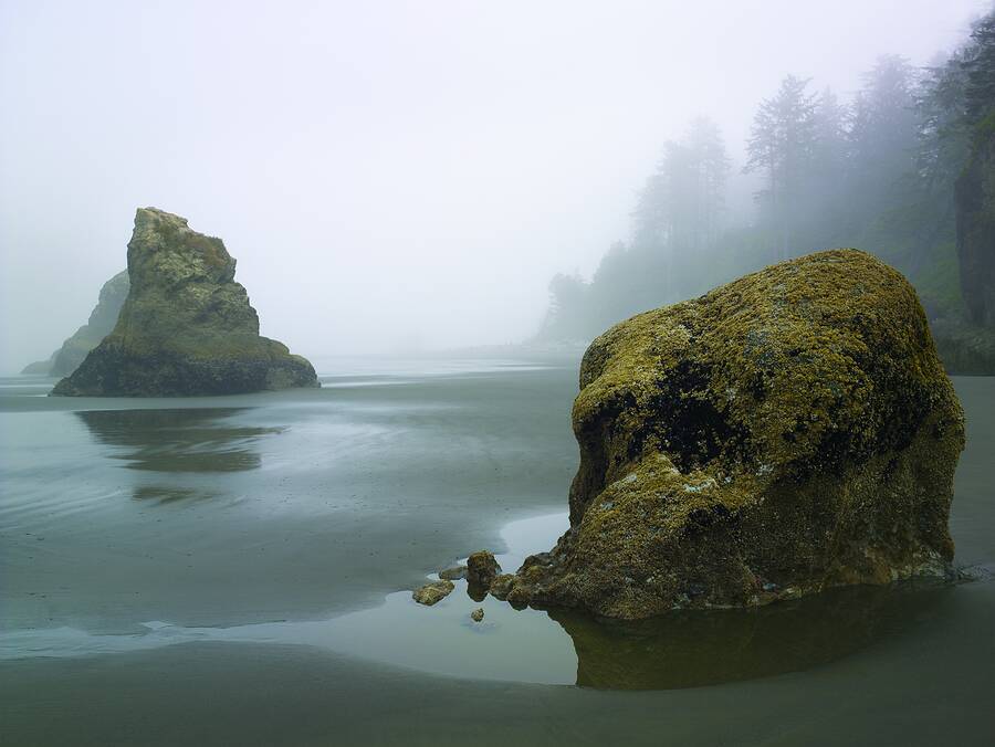 Under a Salmon Sky by David Hibbard | Black & White Magazine | For ...