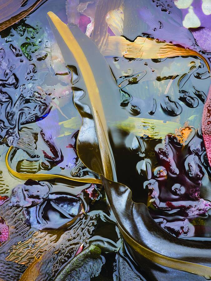 Under a Salmon Sky by David Hibbard | Black & White Magazine | For ...