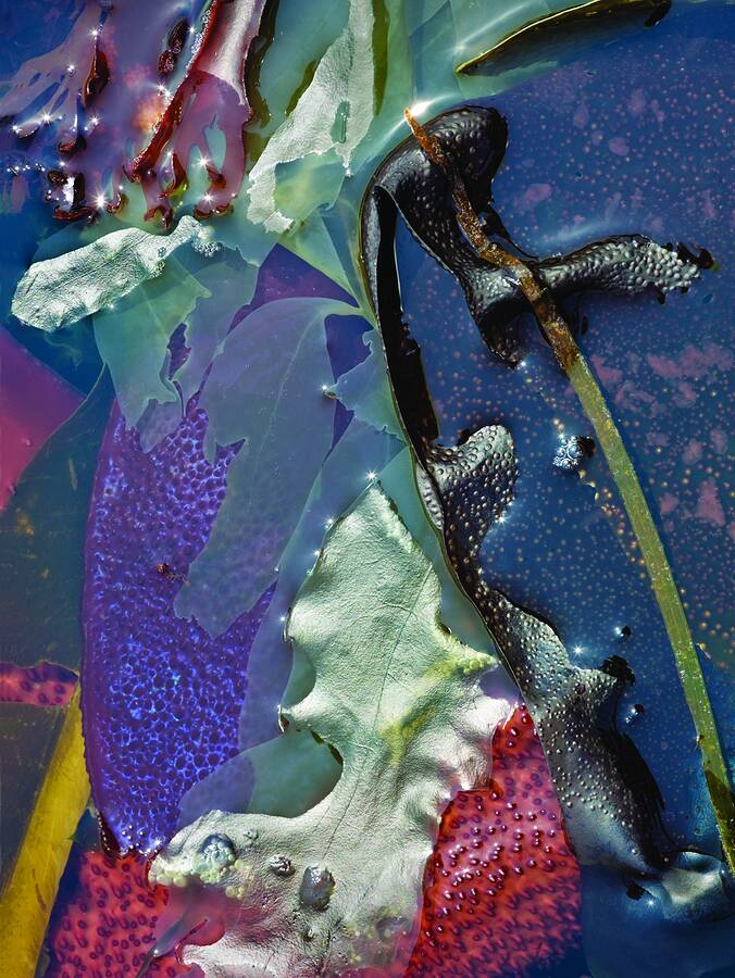 Under a Salmon Sky by David Hibbard | Black & White Magazine | For ...