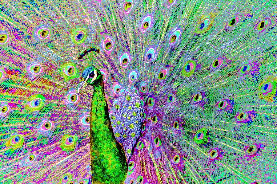 Psychedelic Peacock by Dolores Smart | Black & White Magazine | For ...