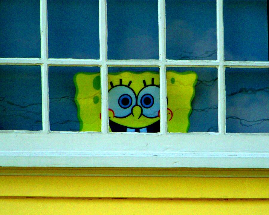 Window Sponge by Alan Wood | Black & White Magazine | For Collectors of ...