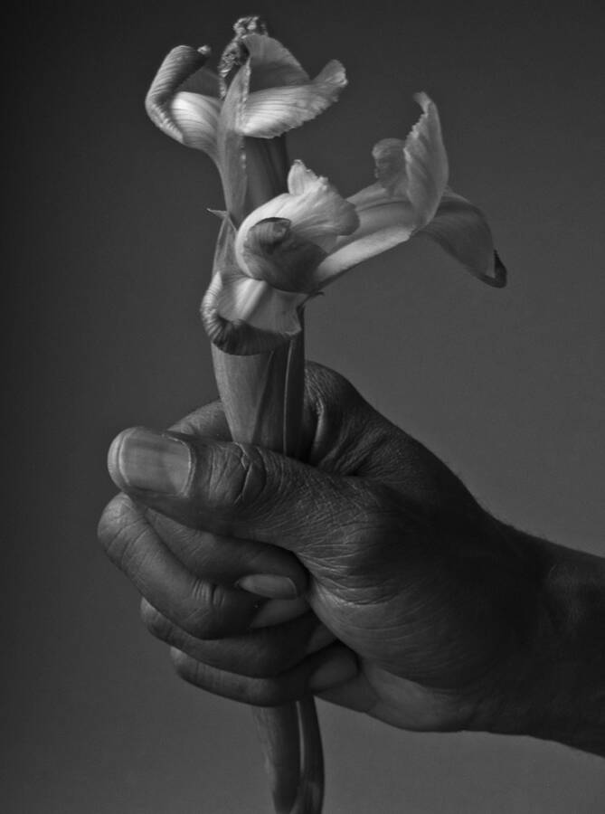 Seagram Building by Mick Andreano | Black & White Magazine | For ...