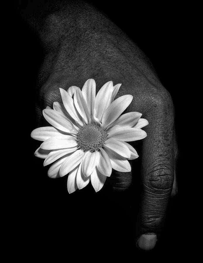 Bruce's Hand With Flower #3 by Mick Andreano | Black & White Magazine ...