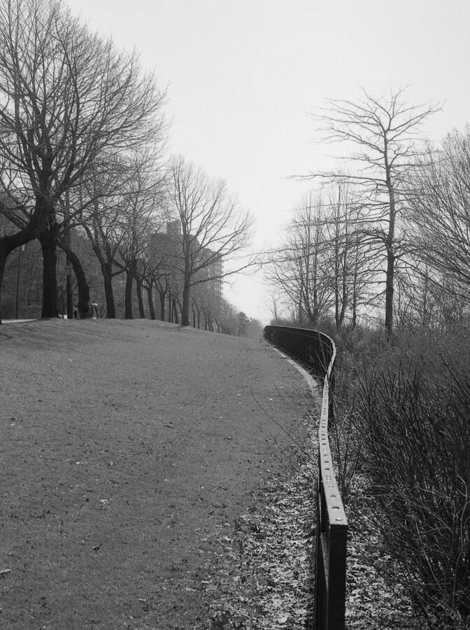 Seagram Building by Mick Andreano | Black & White Magazine | For ...