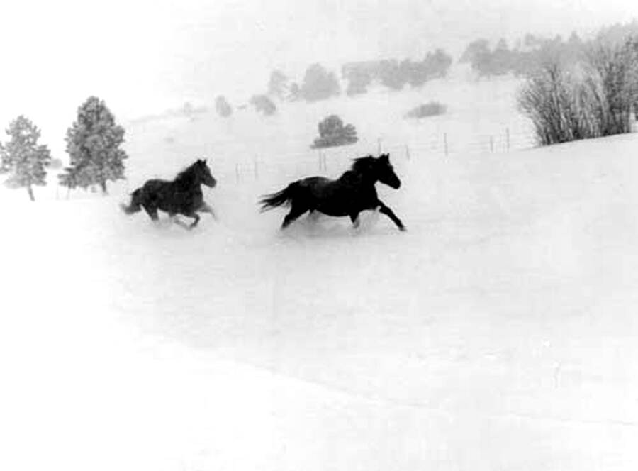 Manning by Lee Manning | Black & White Magazine | For Collectors of ...