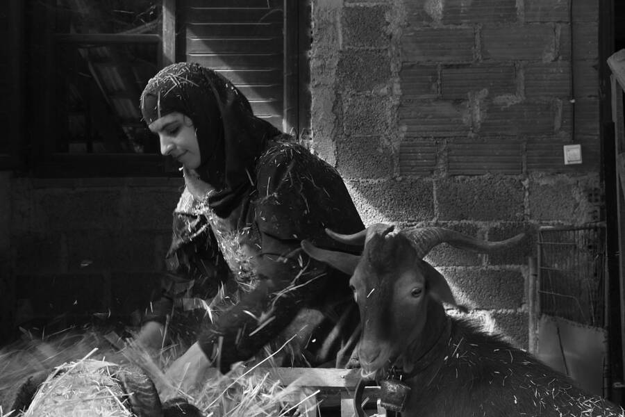 Nun and Goat 1 by Vasiliki Georgiou | Black & White Magazine | For ...