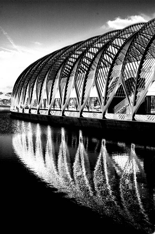 1 Library at Florida Polytechnic Univesity by Joe Constantino | Black ...