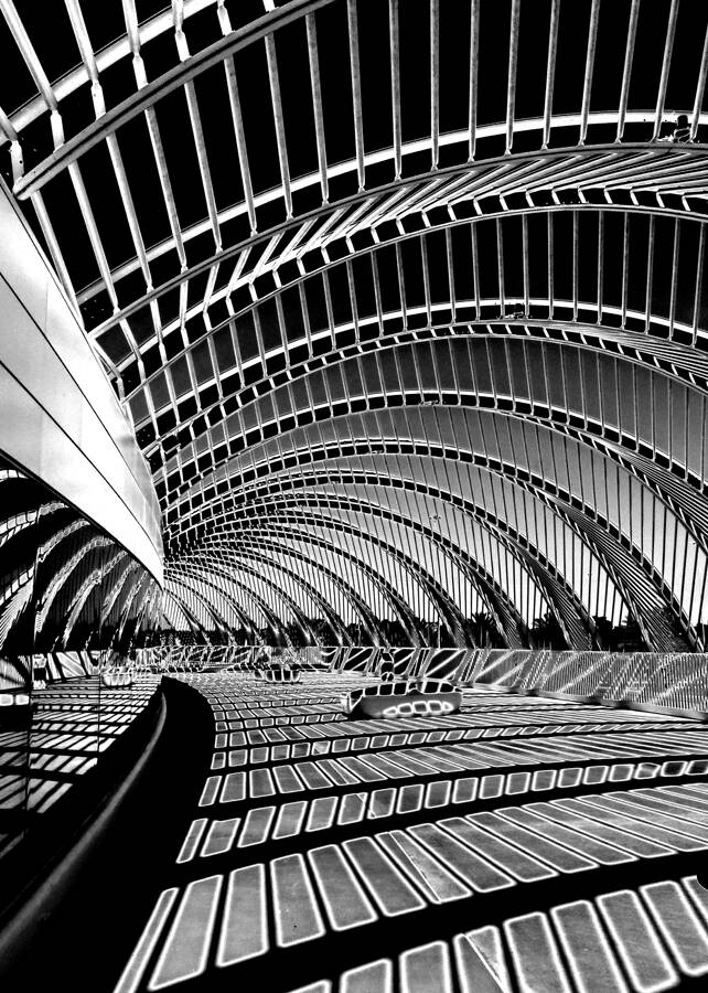 1 Library at Florida Polytechnic Univesity by Joe Constantino | Black ...