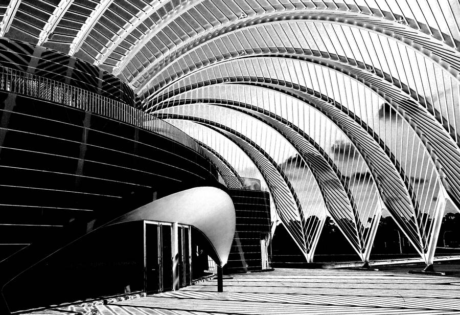 1 Library at Florida Polytechnic Univesity by Joe Constantino | Black ...