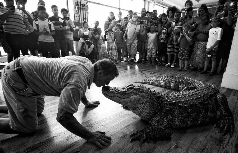 Alligator Kiss by Harvey Cobb | Black & White Magazine | For Collectors ...