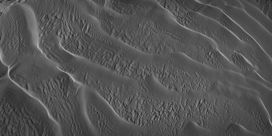 Snow Steps by Nicholas Stover | Black & White Magazine | For Collectors ...