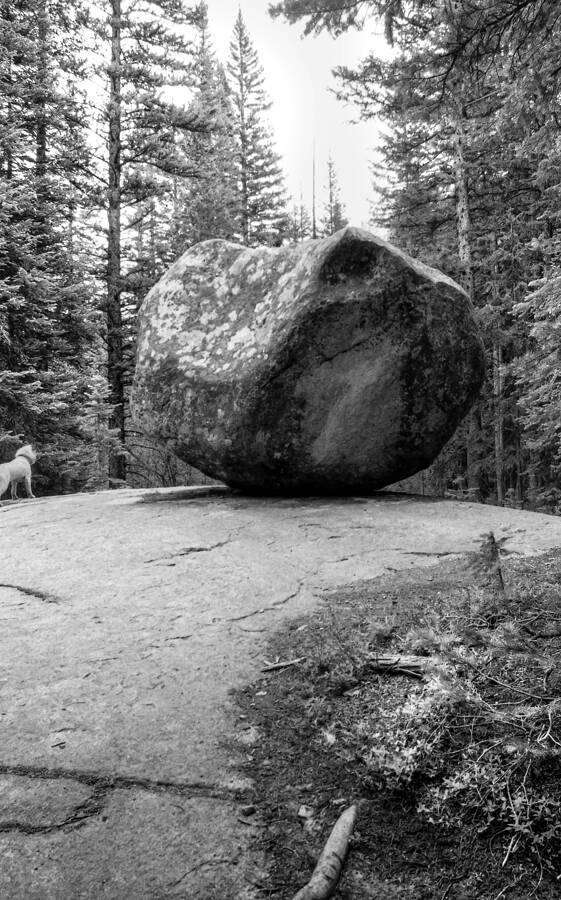Glacial Eratic Boulder by Joe Infascelli | Black & White Magazine | For ...