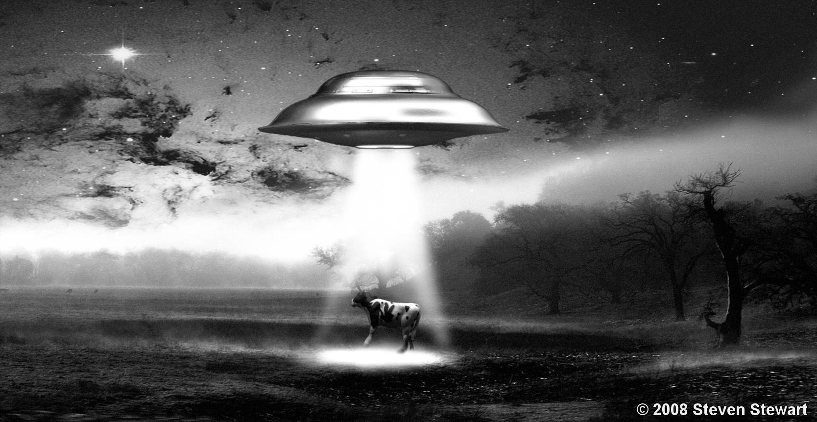 Cow Abduction by Steven Stewart | Black & White Magazine | For ...