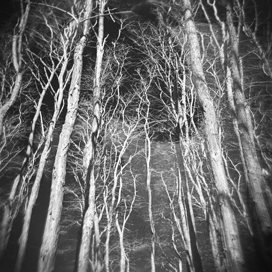 Mijo in the Trees by Ryan Synovec | Black & White Magazine | For ...