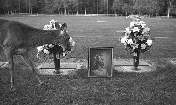 Deer Jesus 8 by William West Jr. | Black & White Magazine | For ...