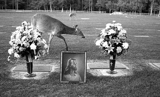 Deer Jesus 6 by William West Jr. | Black & White Magazine | For ...