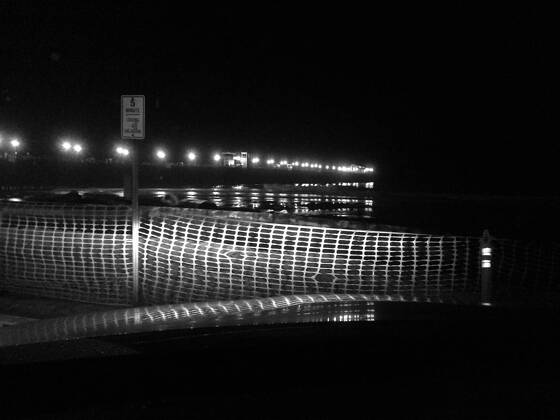 Oceanside Grunion Run by Felice Data | Black & White Magazine | For ...