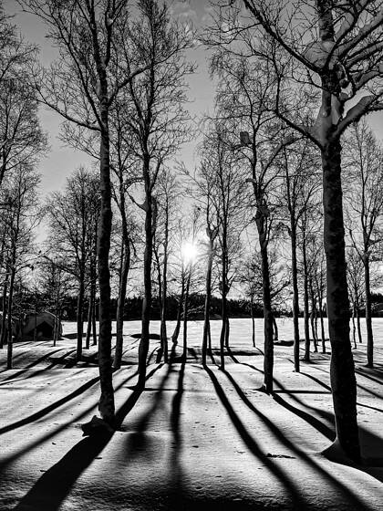 Winter shadows by Owen Lewis | Black & White Magazine | For Collectors ...