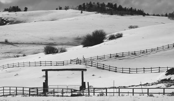 Gate by Joe Sack | Black & White Magazine | For Collectors of Fine ...