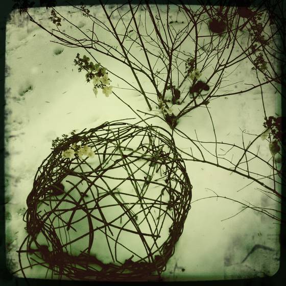 Winter Cocoon 1 by Benaiah Cusack | Black & White Magazine | For ...