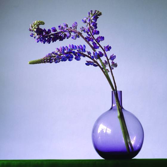 Purple Lupins by Peter-Andrew Gravina | Black & White Magazine | For ...