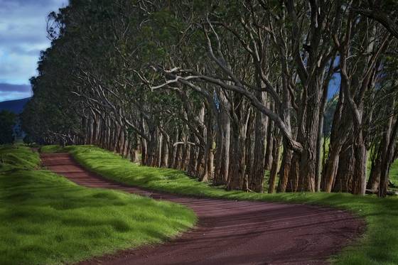 Mana Road by Ken Goodrich | Black & White Magazine | For Collectors of ...