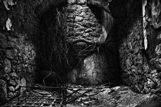 Rot in Jail by Cynthia Merzer | Black & White Magazine | For Collectors ...