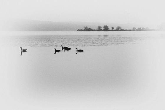 Gift of Another Morning by Anna Capaldi | Black & White Magazine | For ...