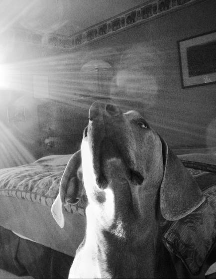 Lurch Sees the Light by Doug Bisson | Black & White Magazine | For ...